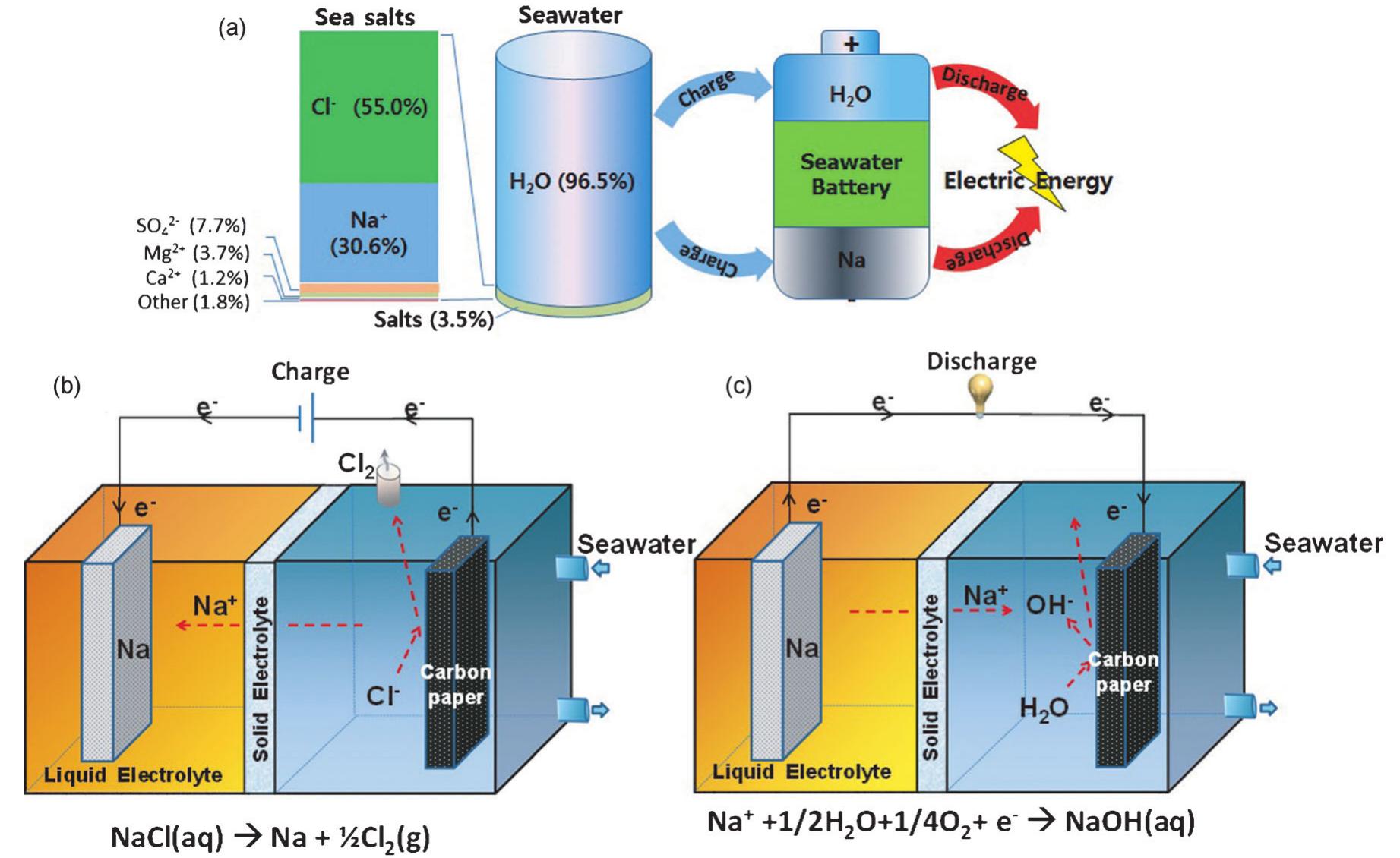 A) components of seawater. schematic diagram of the cell at