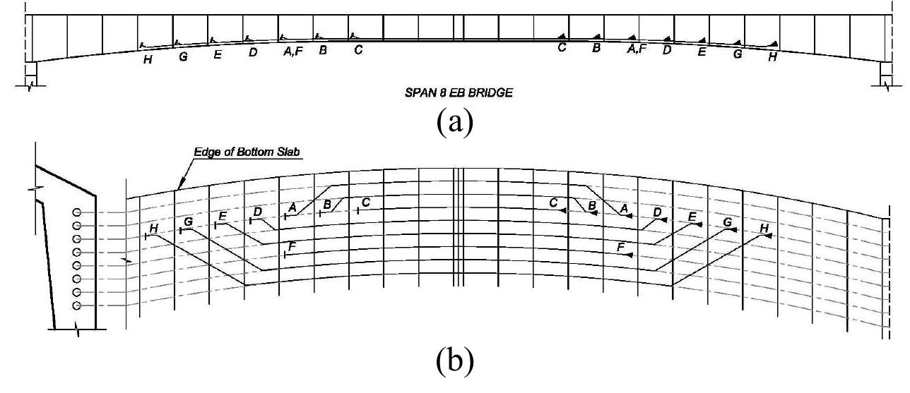 Layout of bottom tendons, (a) elevation, (b) tendon layout
