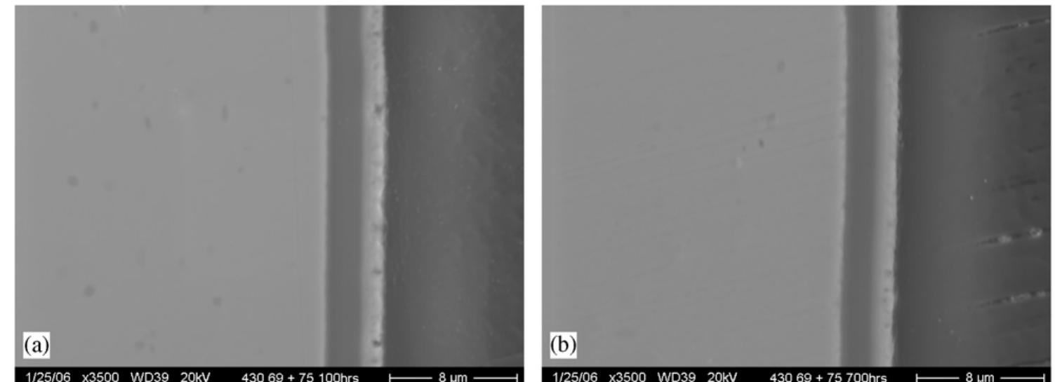 Sem cross sections showing two-segment coating: 0.3 jm fad