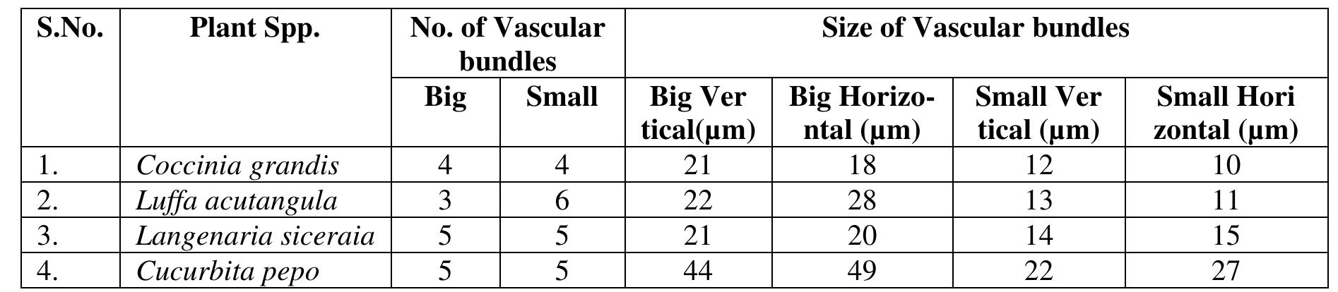 (PDF) Stem Anatomy of Four Genera of Family Cucurbitaceae