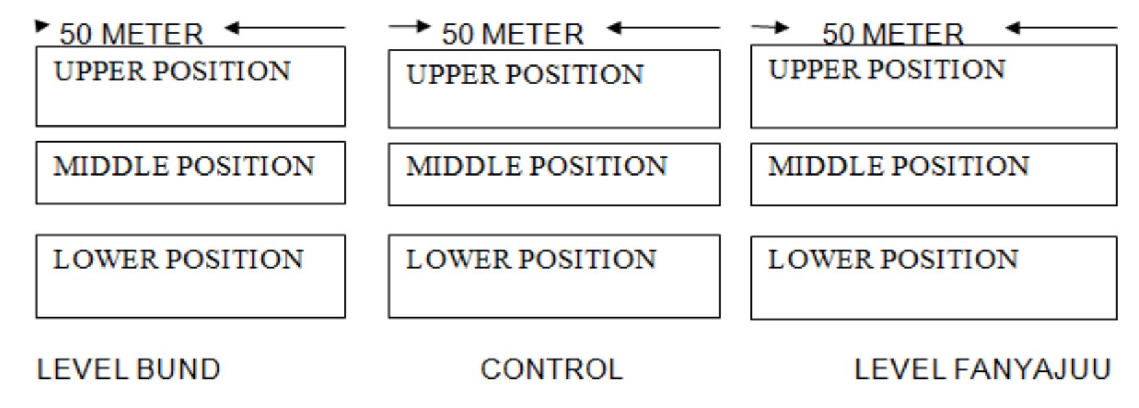 Plot layout