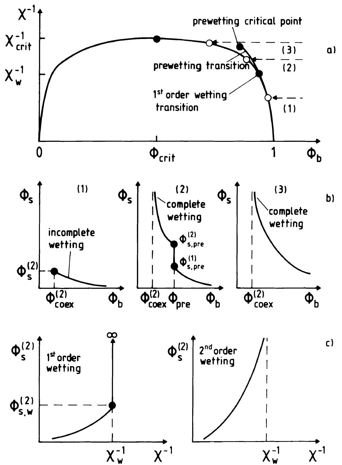 A schematic phase diagram of a semi-infinite polymer mixture