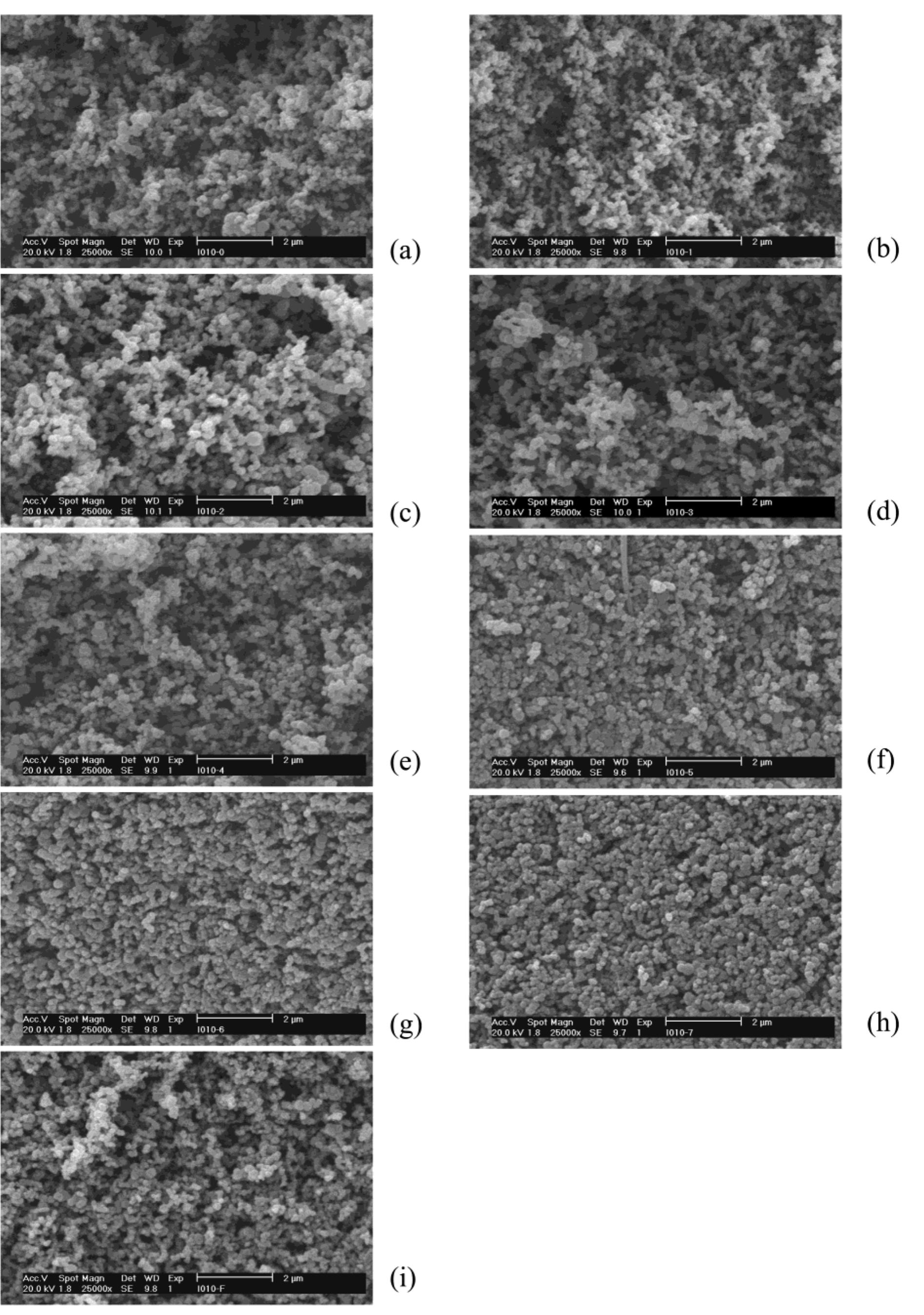 Microstructure of the particulate matter from combustion of