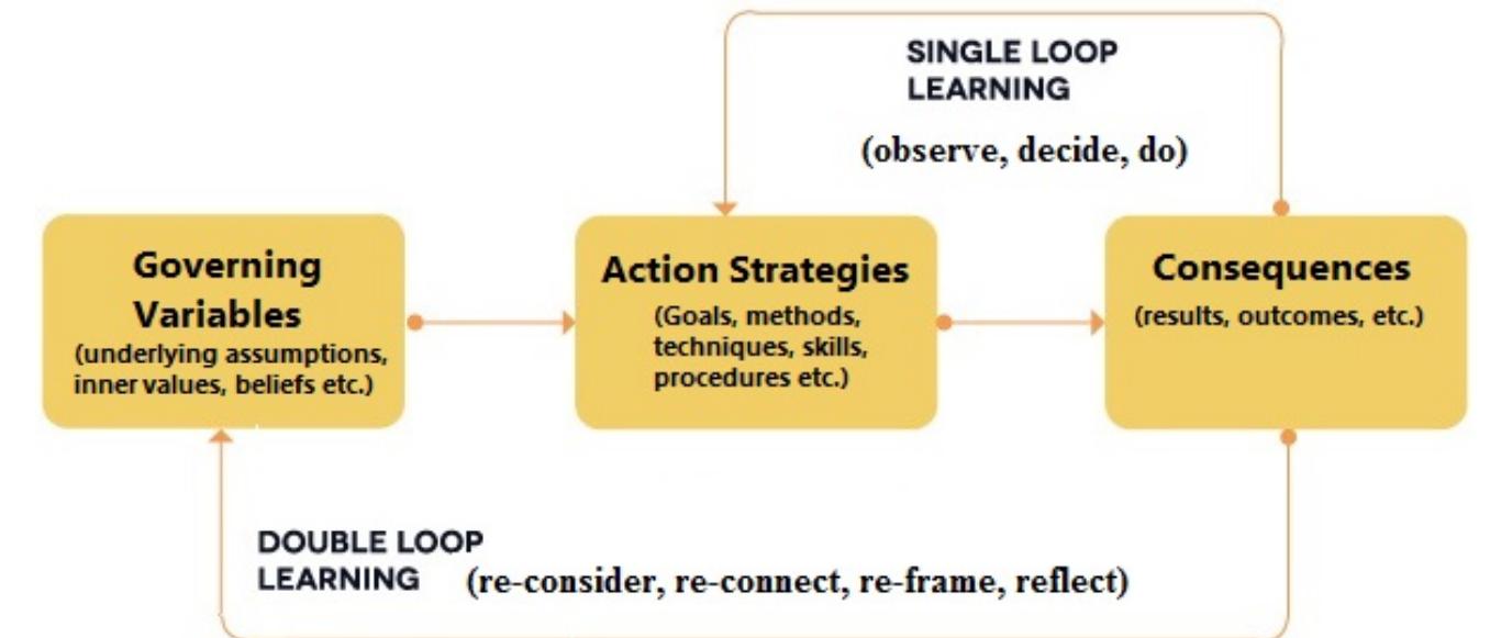 Single and double loop learning. source: adapted from