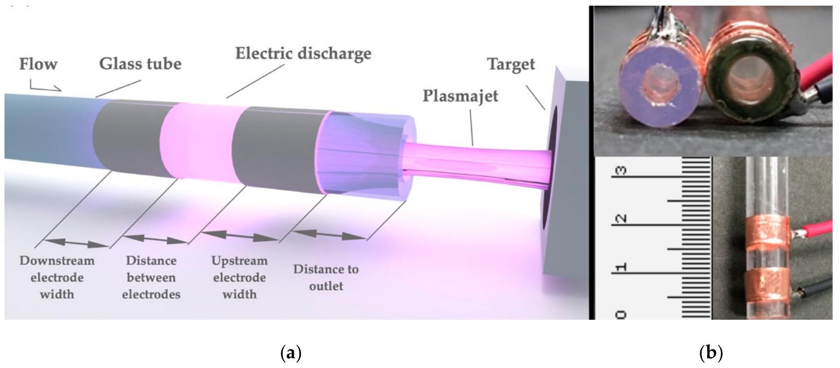 The general arrangement of a plasma jet reactor: (a)