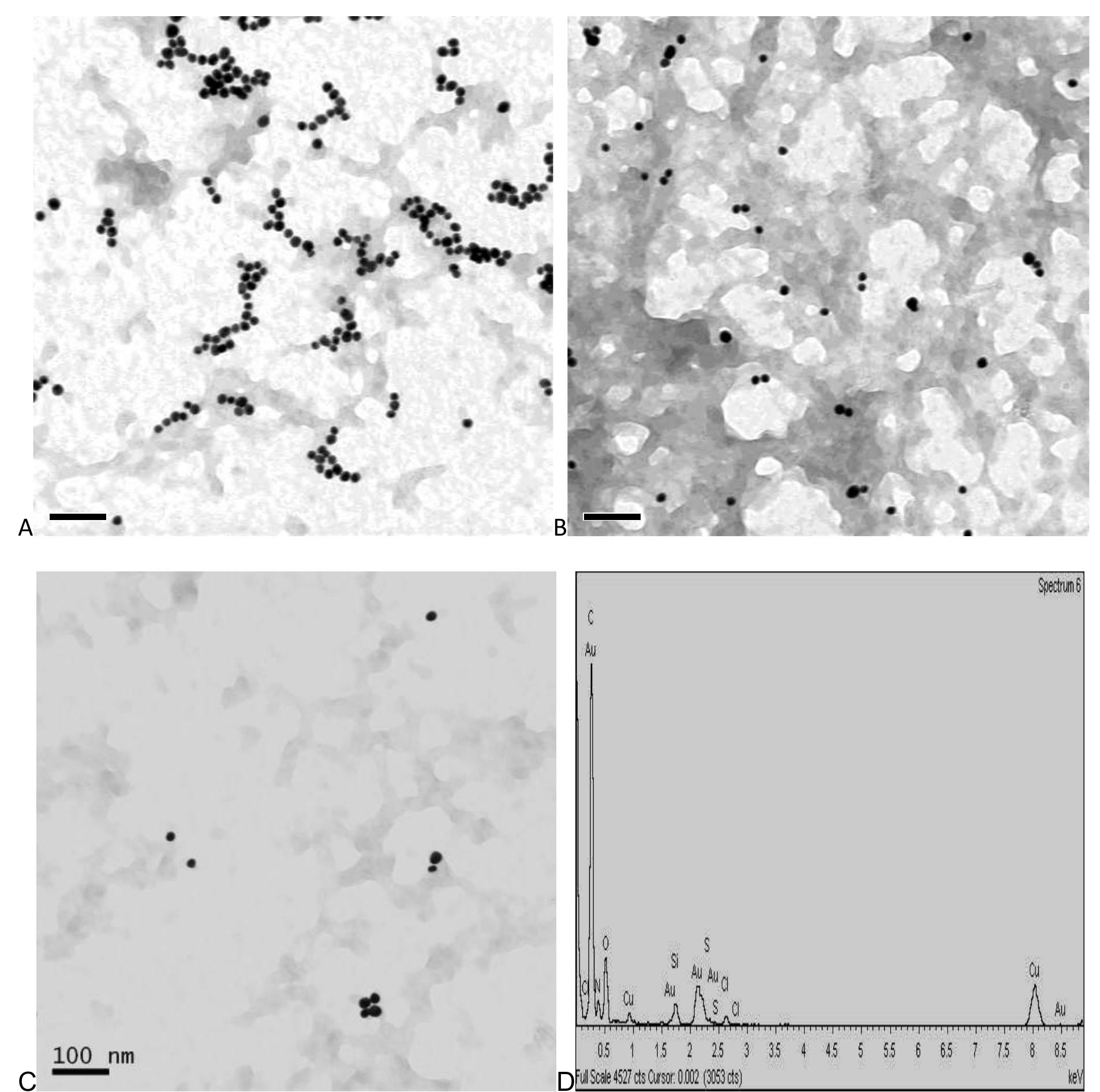 -13 transmission electron microscopy images of cit-au nms