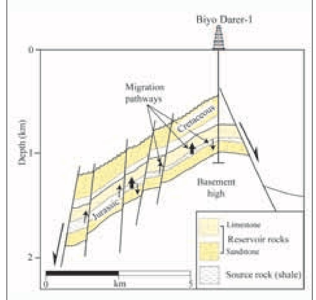 Idealized north-south cross section of biyo darer area