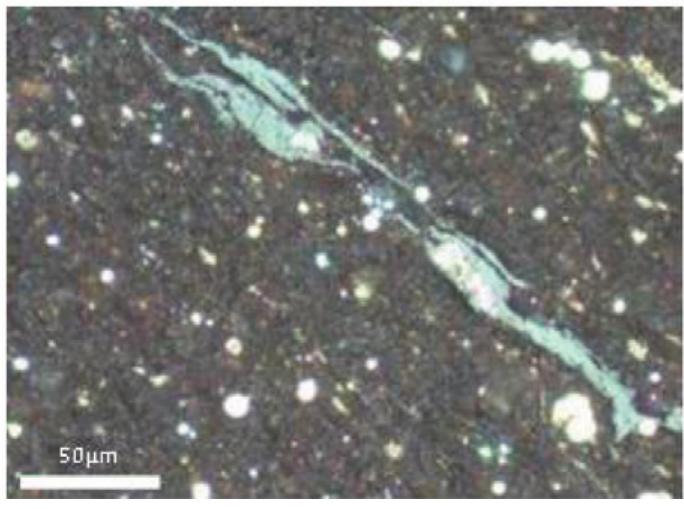 Figure 9 - The Silurian Qusaiba Hot Shales of Saudi Arabia: