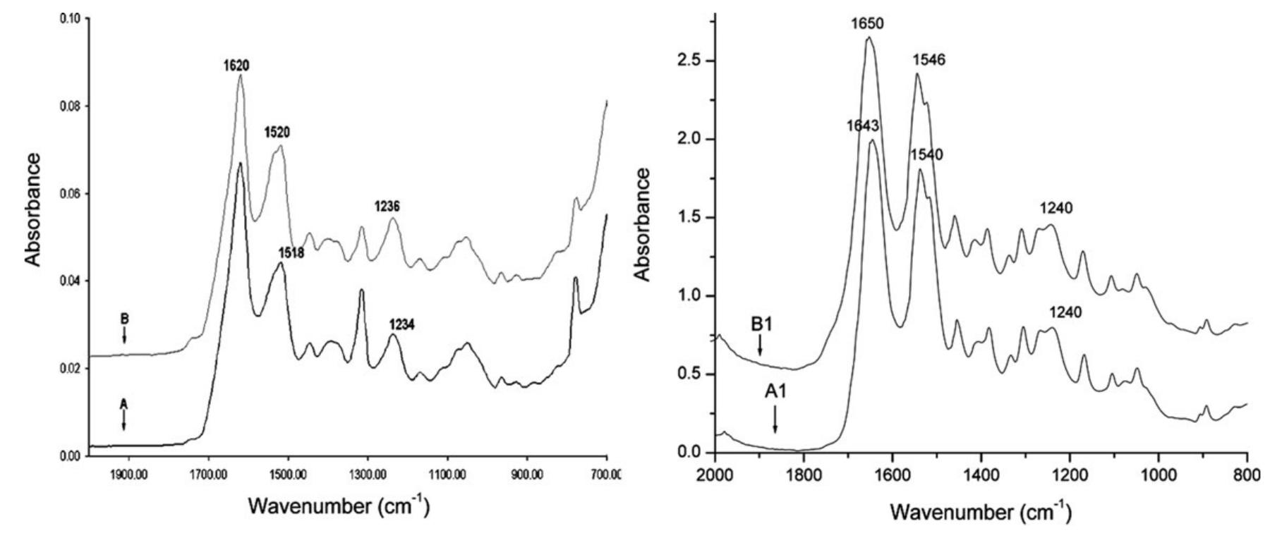 Ftir spectra of a, al, b, and b1 in the spectral range of