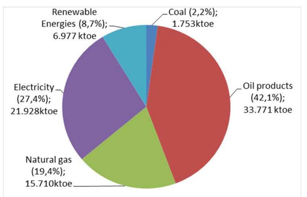 Forecasted energy consumption breakdown by source in spain