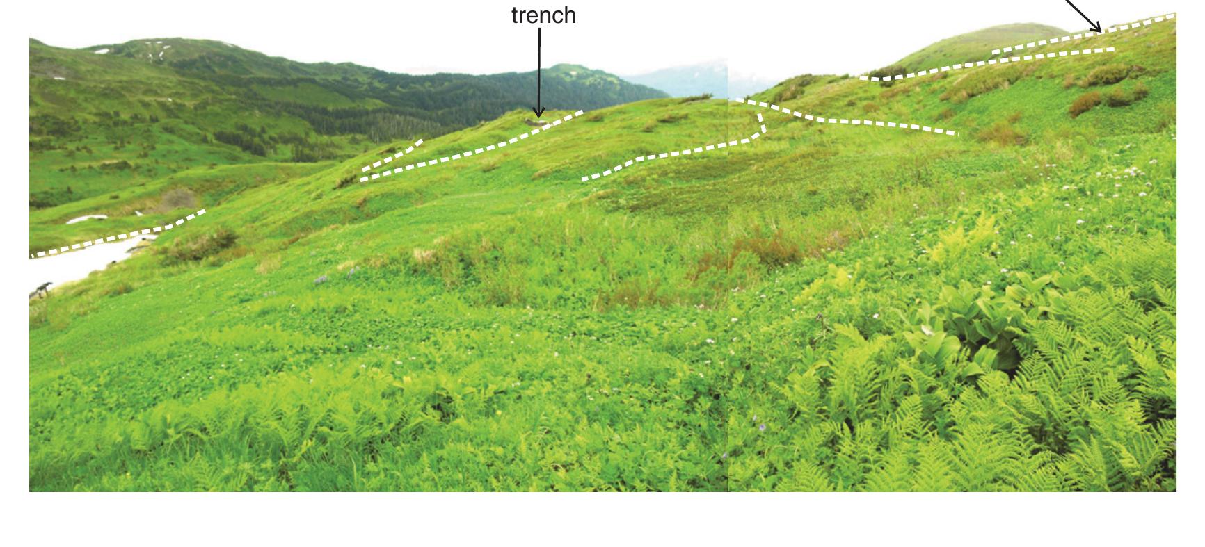 Map of the detailed study site on carbon ridge, plotted on a
