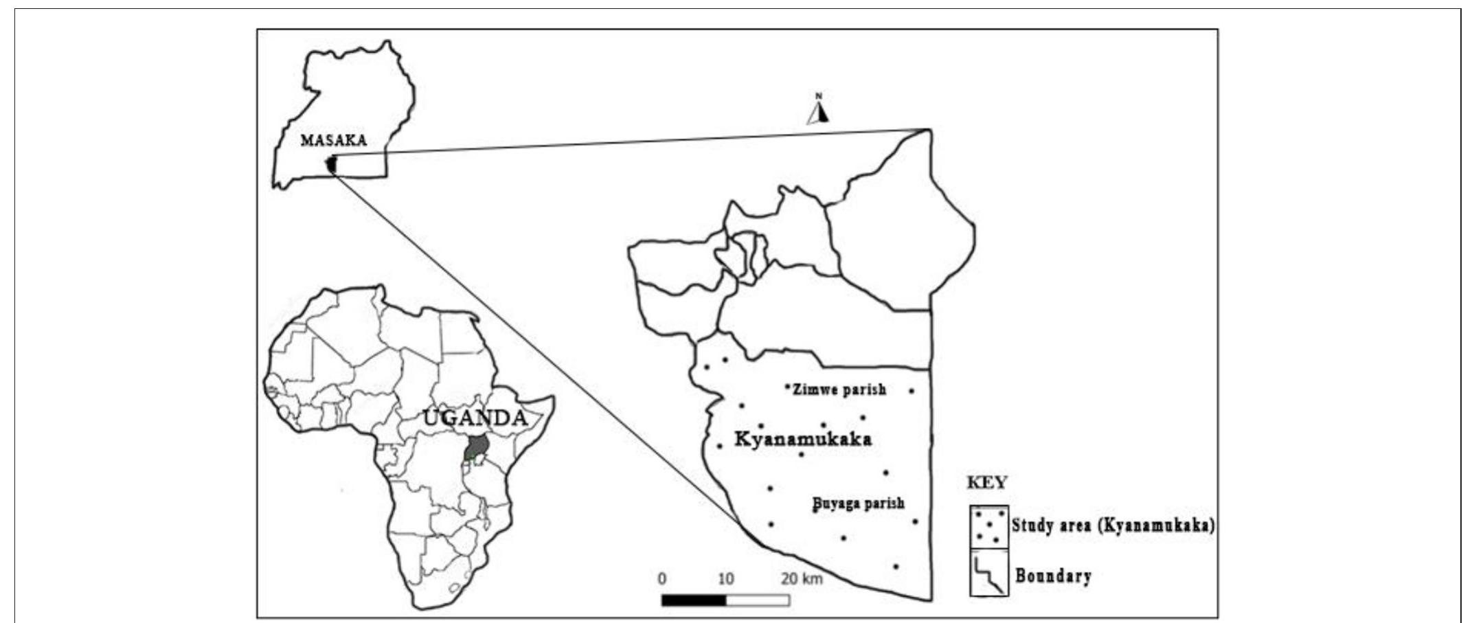 | a map of masaka district showing the study area