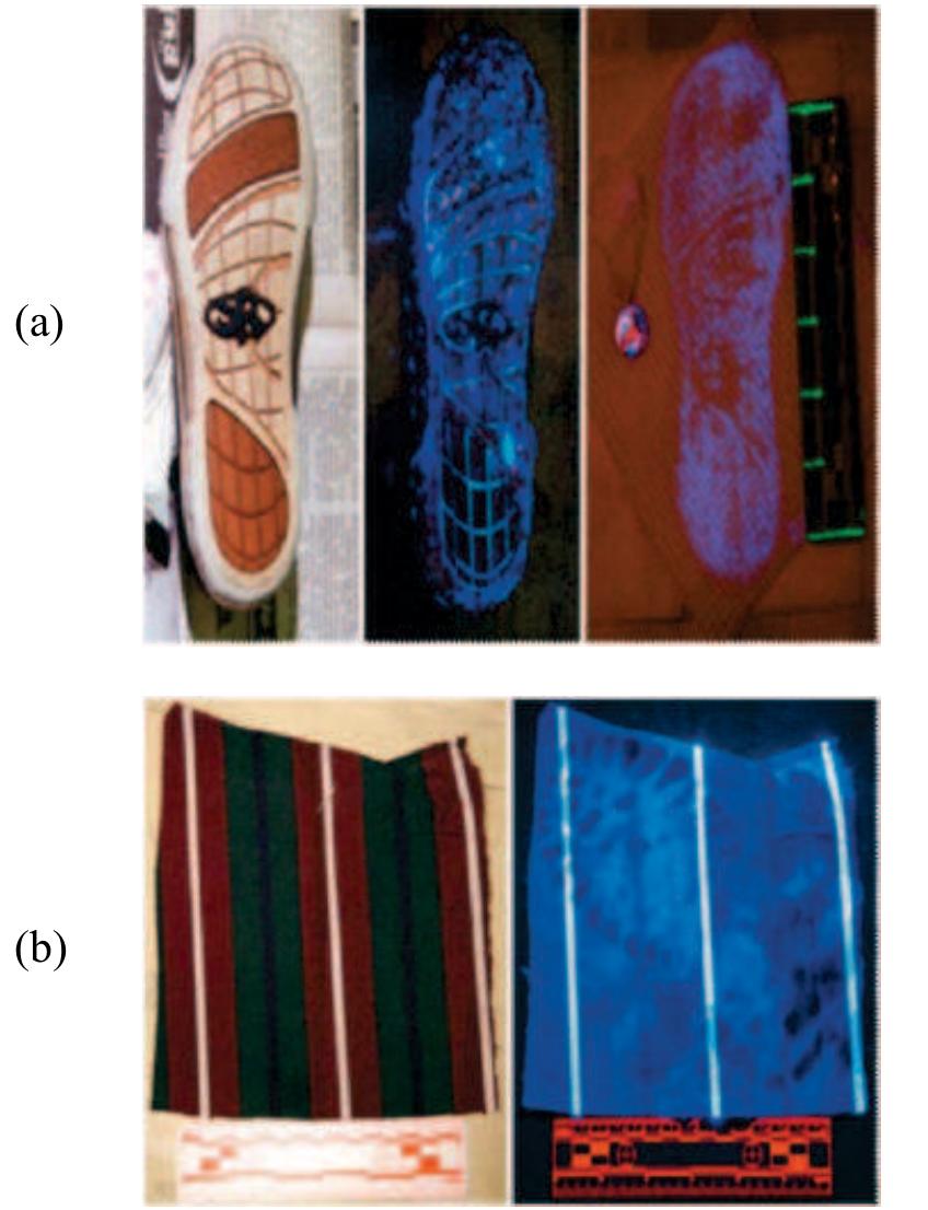 (PDF) Forensic Photography: A Visual and Legal Record of Crime Scene