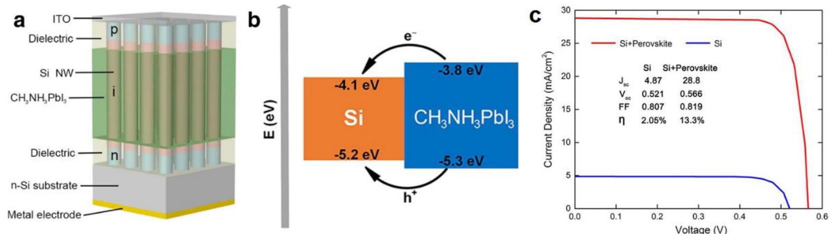 (a) schematic diagram of the si nw array/perovskite hybrid