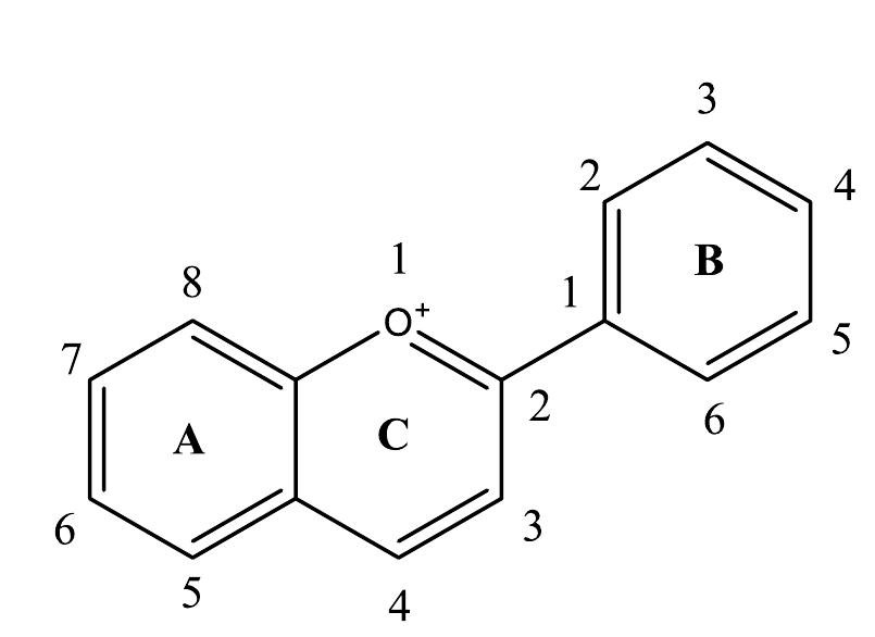 Various analytical techniques for the isolation and