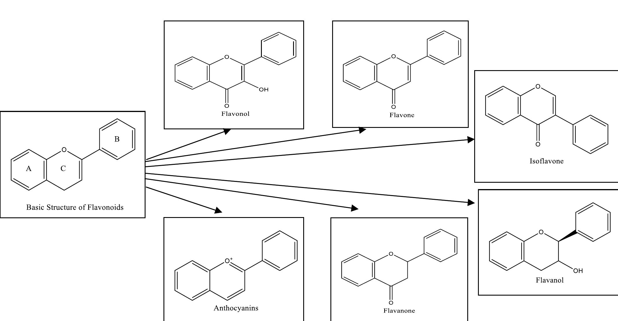 Flavonoids' basic chemical structures and classification