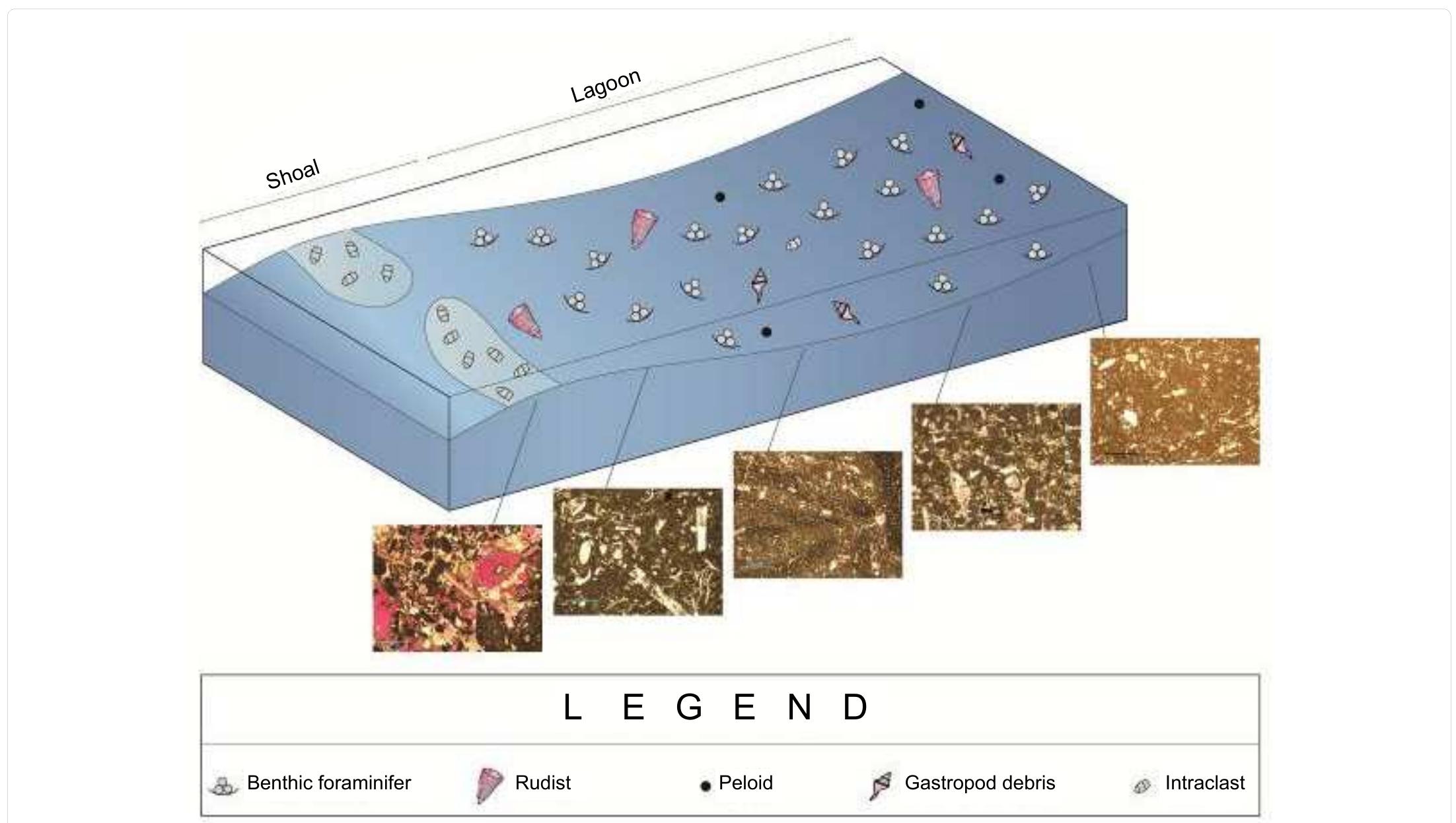 Schematic block diagram of mauddud member. sparry calcite