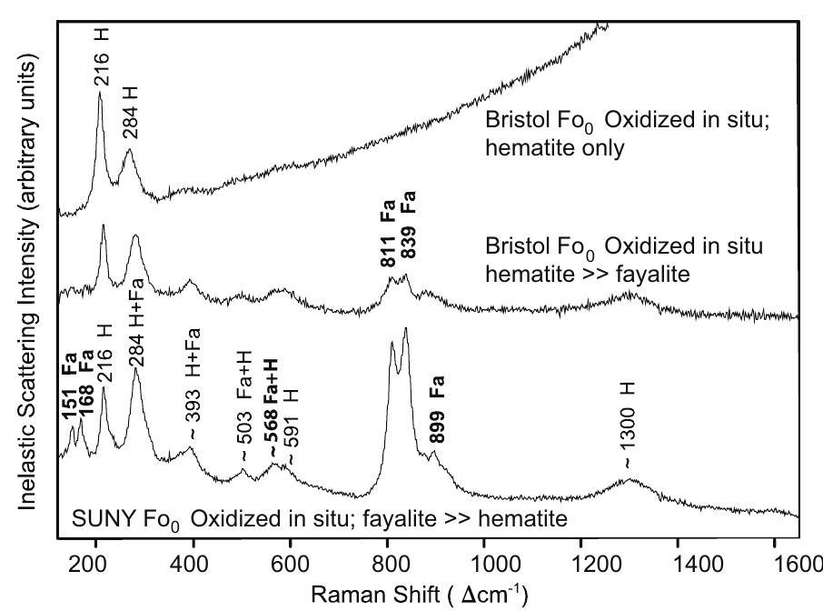 Raman spectra of fo, bristol (top two spectra) and foo suny
