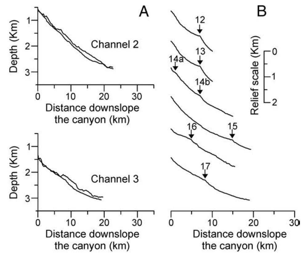 Figure 14 - from Geological evolution of the volcanic island
