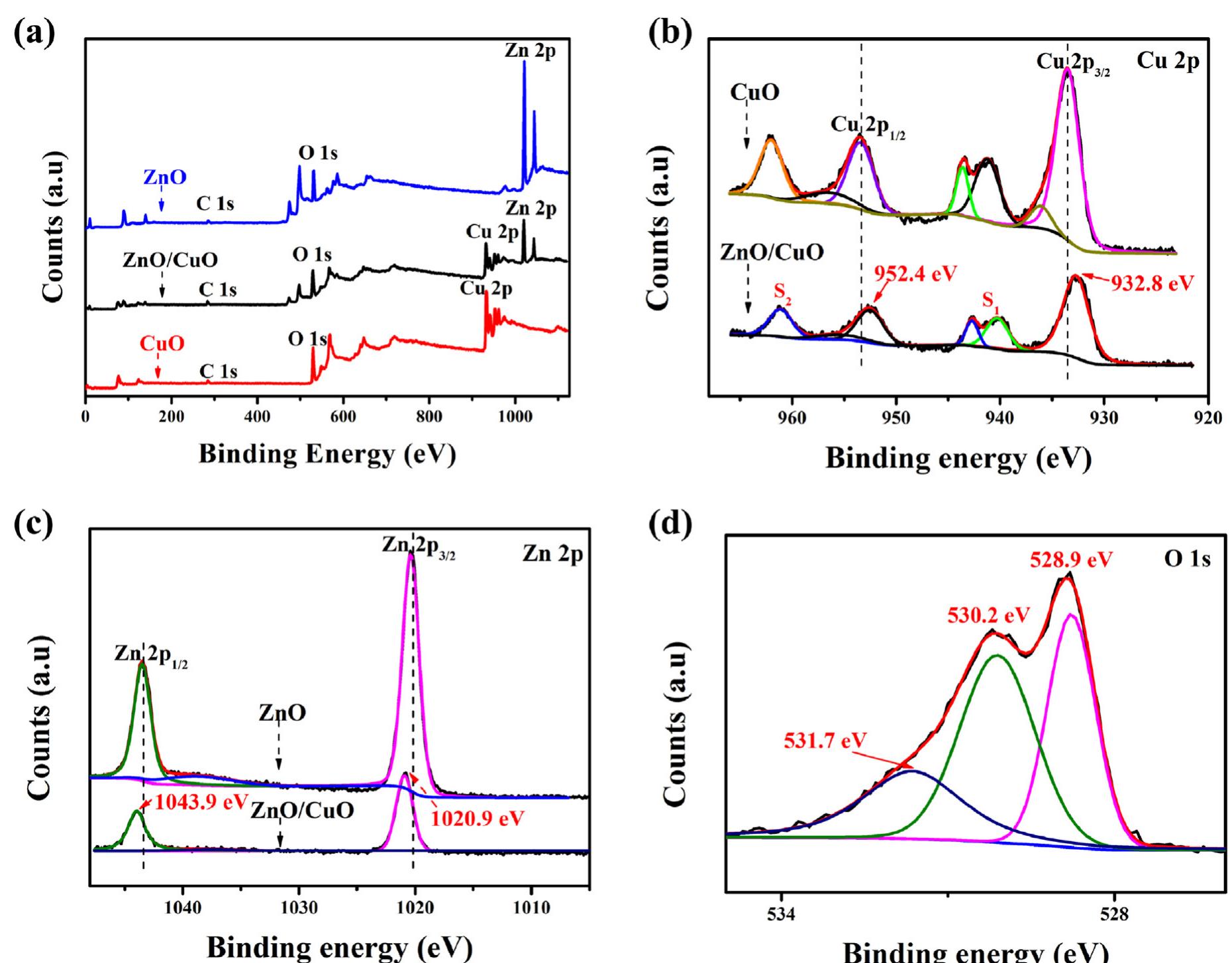 (a) xps spectra of the zno, cuo, and zno/cuo, (b-d)