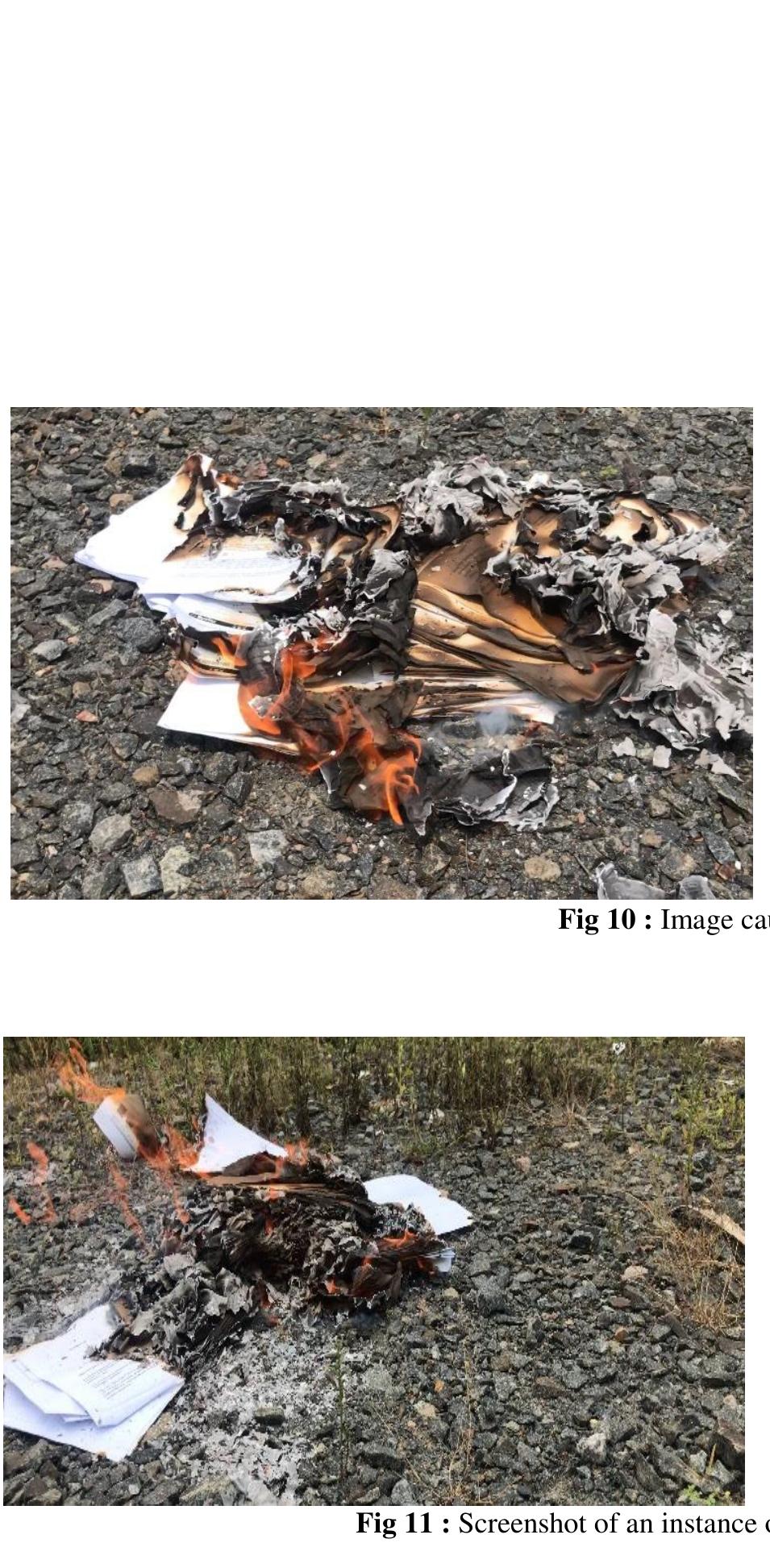 Figure 12 - Forest Fire Detection using IoT Enabled Drone