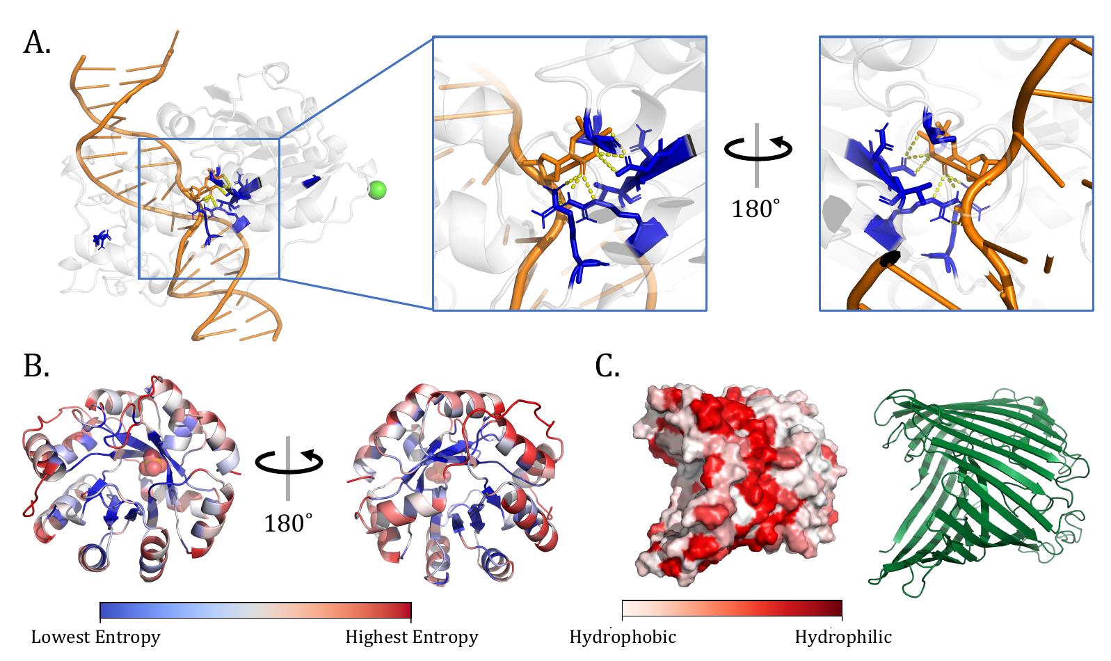 (PDF) Language models enable zero-shot prediction of the effects of ...