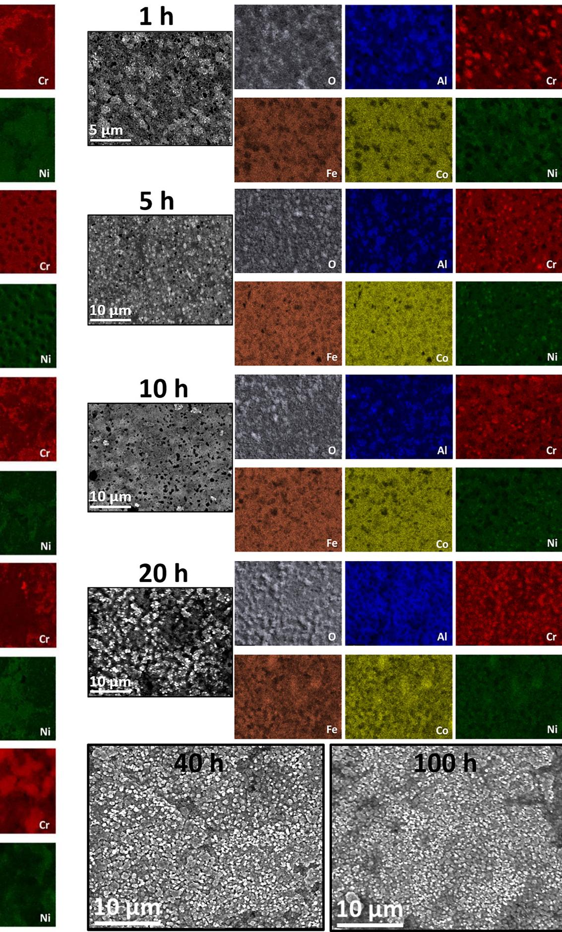 Surface morphology of the oxide layer in the 15min_1800