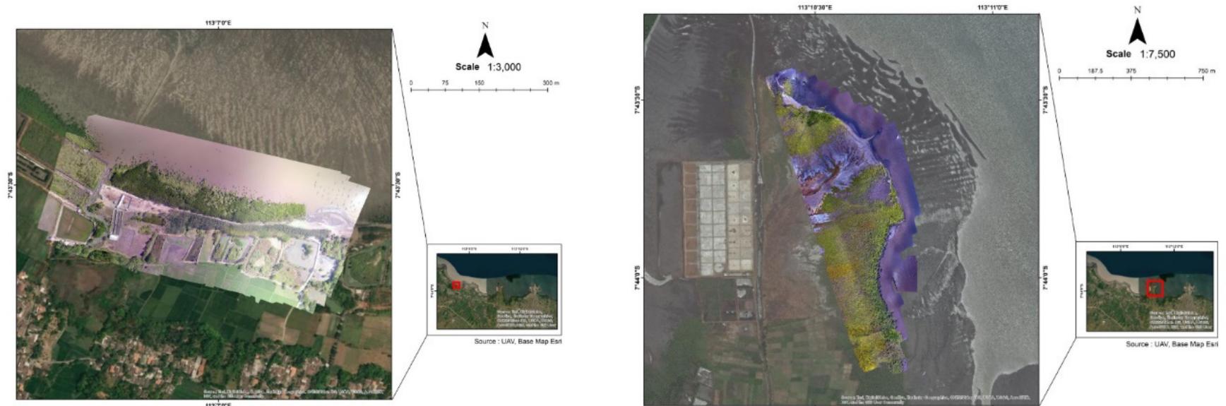 Orthophoto of uav shows different mangrove characteristics