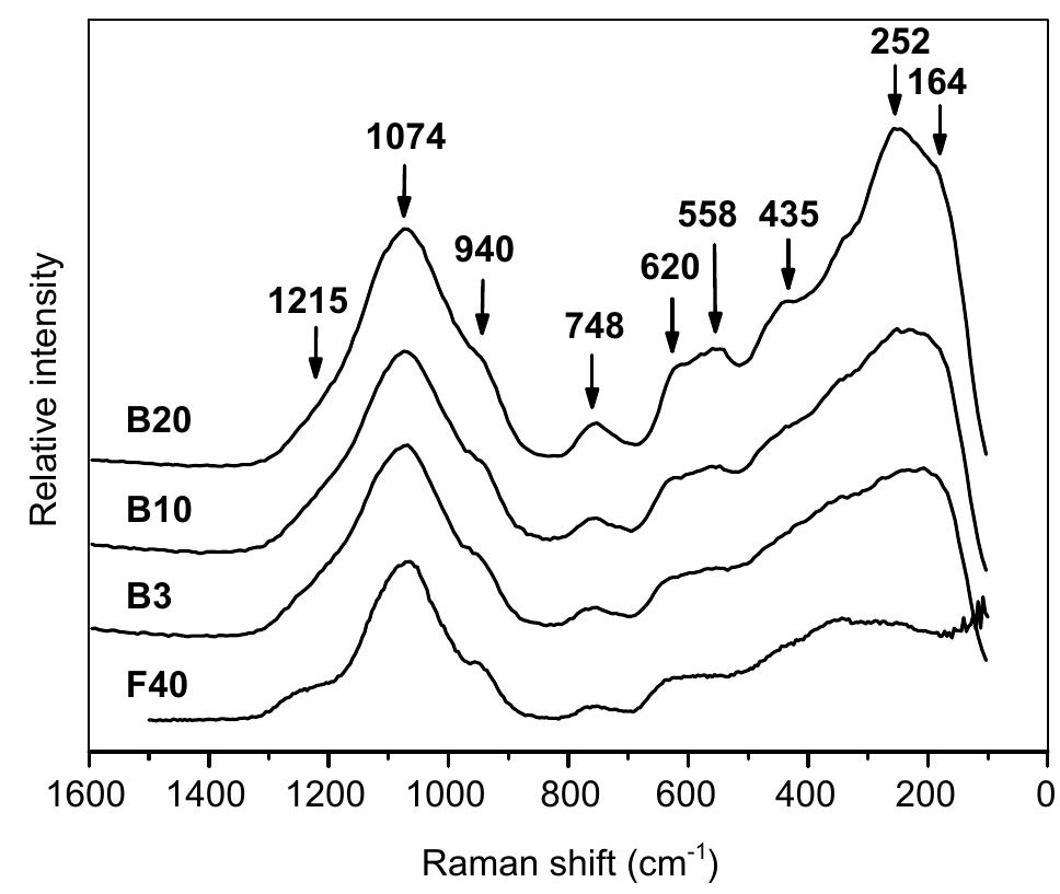 The raman spectra of the bismuth iron phosphate glasses. the