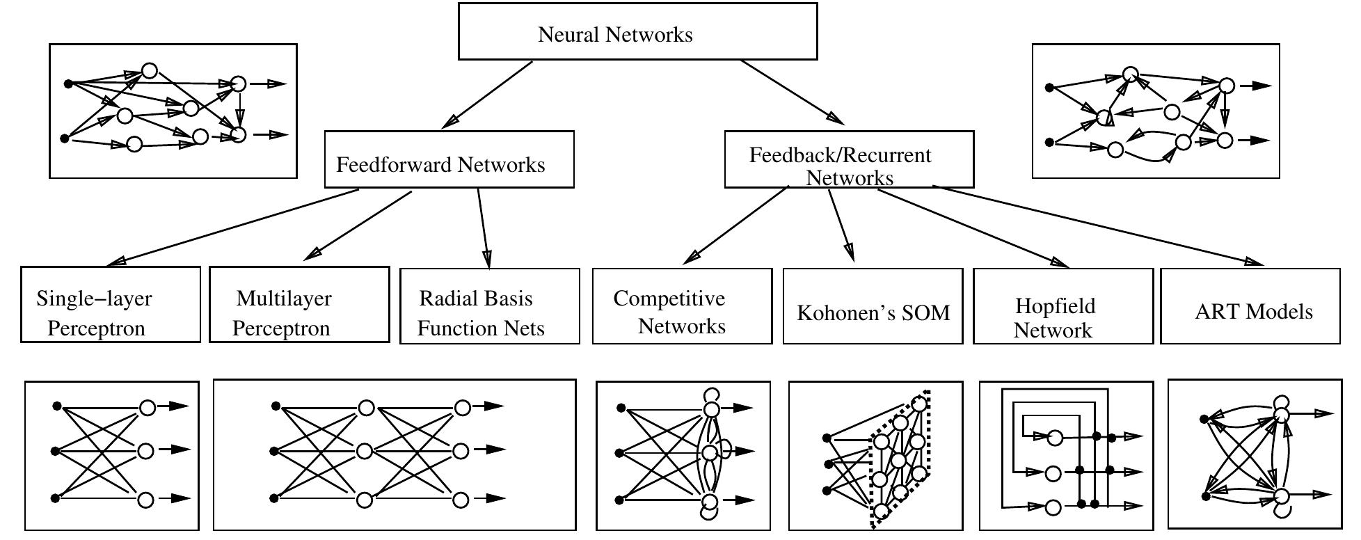 Weights) are connections from the outputs of neurons to the