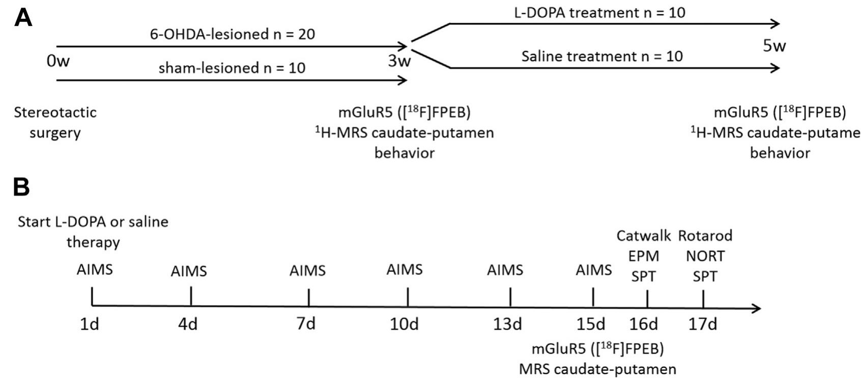 Experiment timeline (a and b). (a) experiment timeline