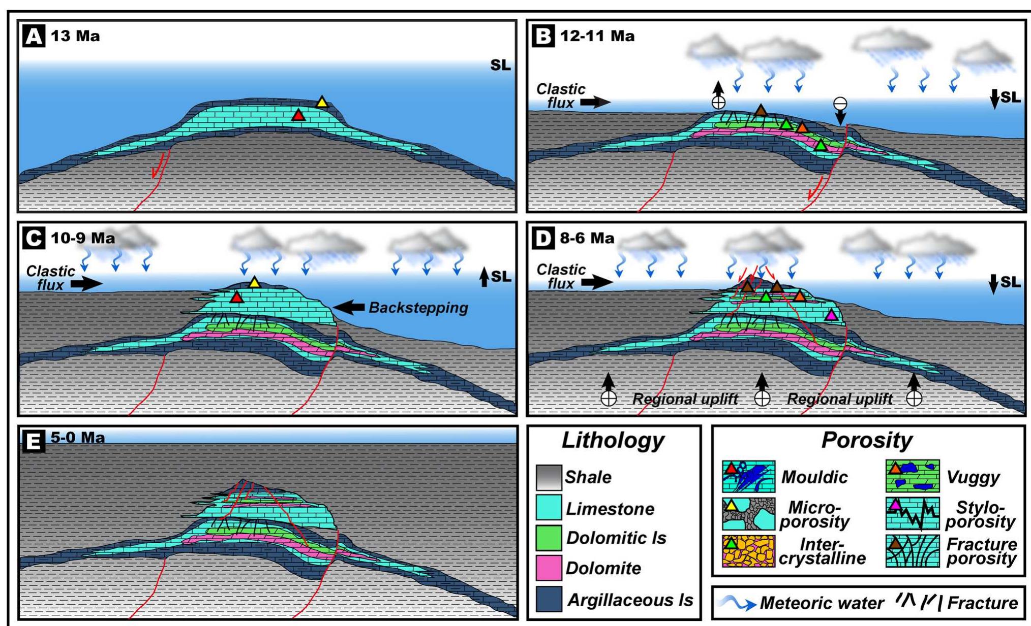 Conceptual model of miocene carbonate buildup growth,