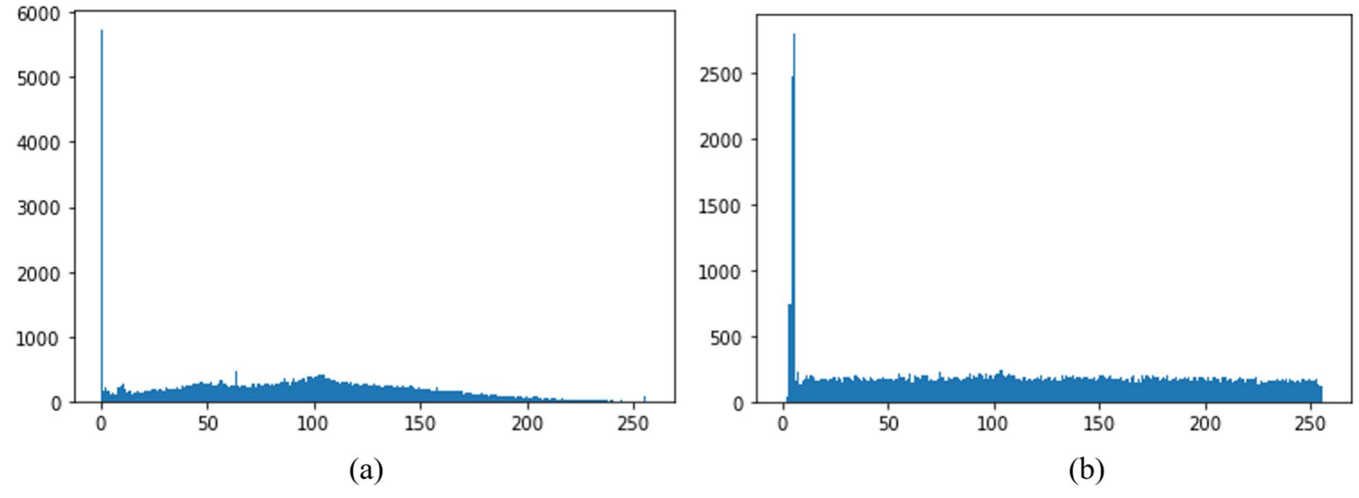 Image before (a) and after (b) imposing histogram