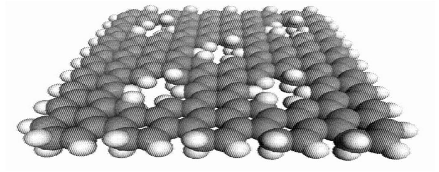 Schematic illustration of structure of graphene monolayer