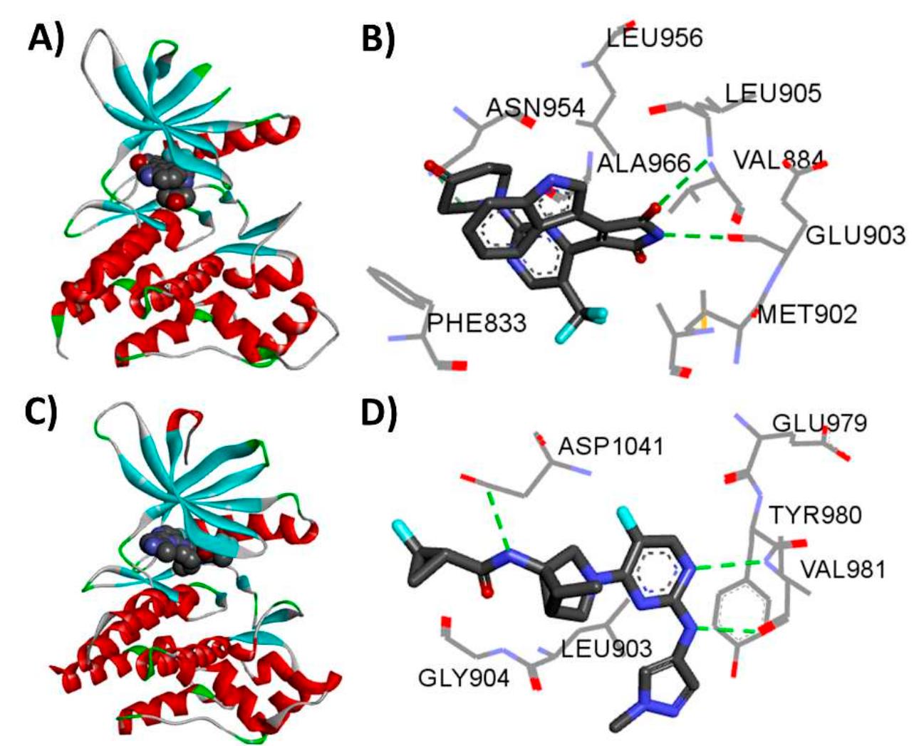 The crystal structure of jak3 (pdb: 3pjc) in complex with