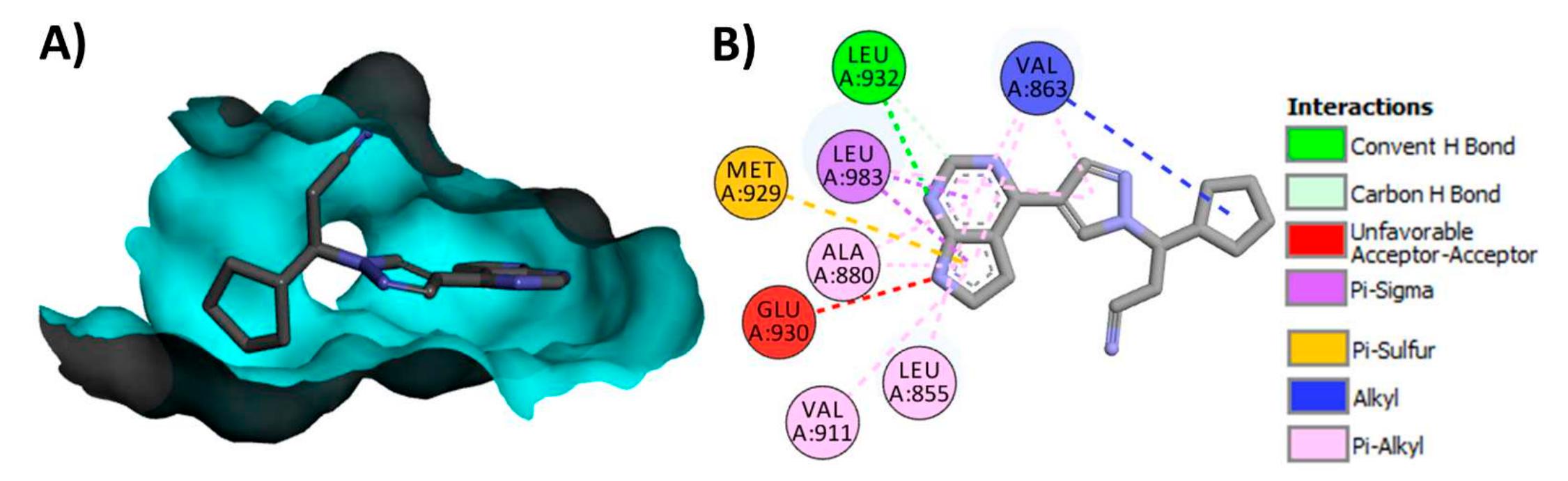 Binding modes of ruxolitinib (shown as sticks) into human