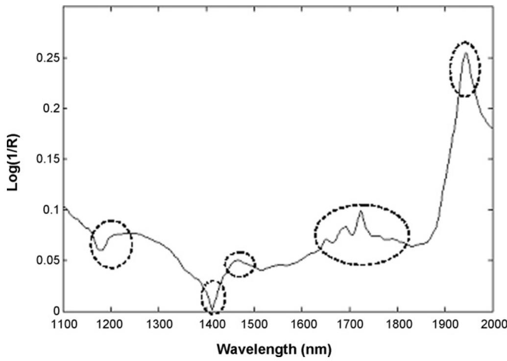 Diffuse reflectance nir spectrum of a pure solid amx sample.