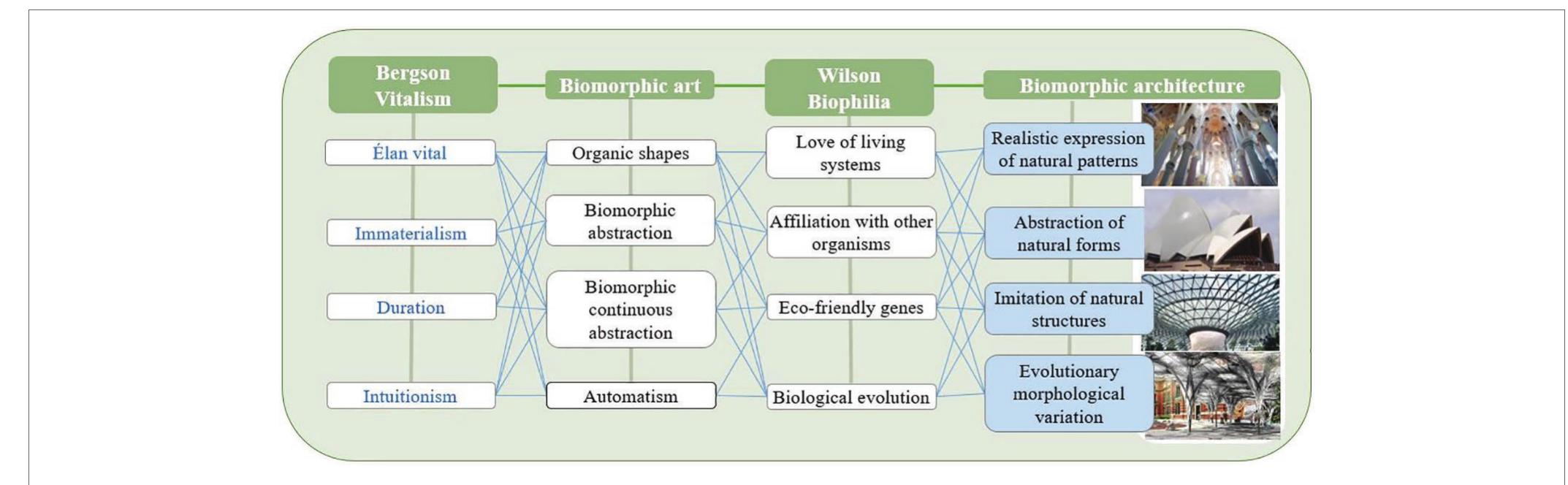 | the types of the present biomorphic design approaches