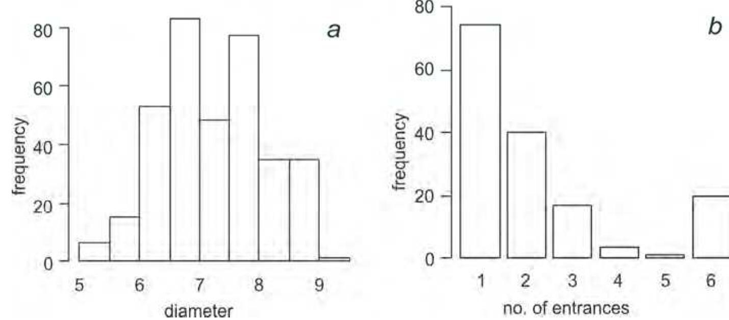 The mean burrow diameter was 7.63 (95 % c.1. 5.96—9.30),