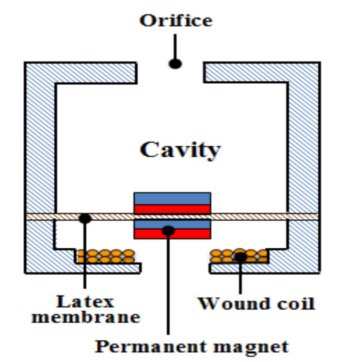 The cross-sectional view and exploded view of the developed