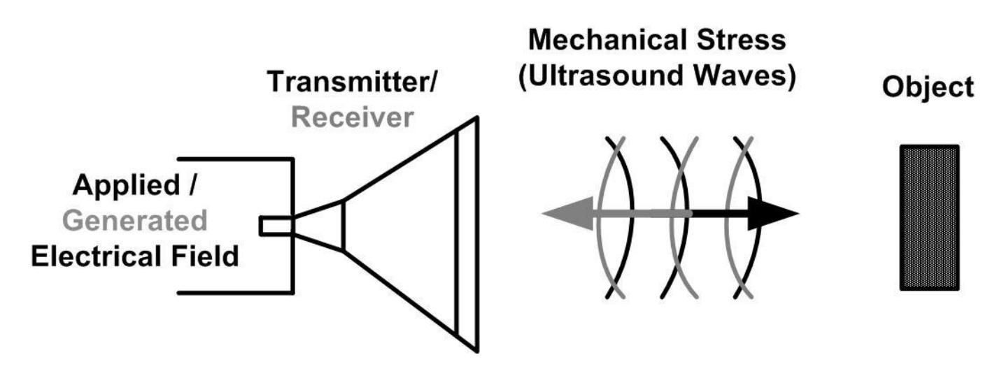 In fig. 1.16. fig. 1.16. a block diagrams of an ultrasound