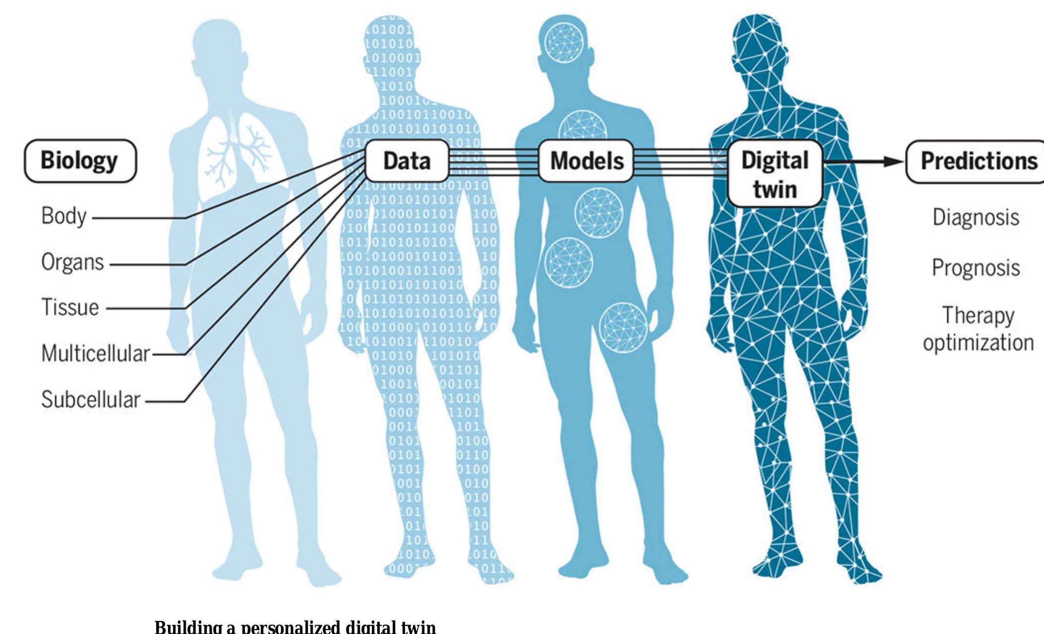Figure 1 Using Digital Twins In Viral Infection