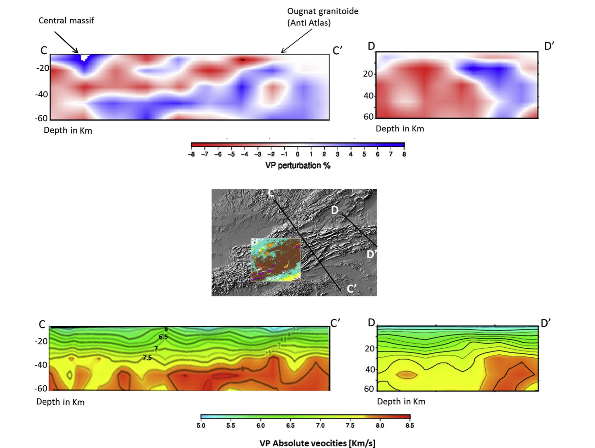 Vertical cross section along longitude profile cc’ and dd’,