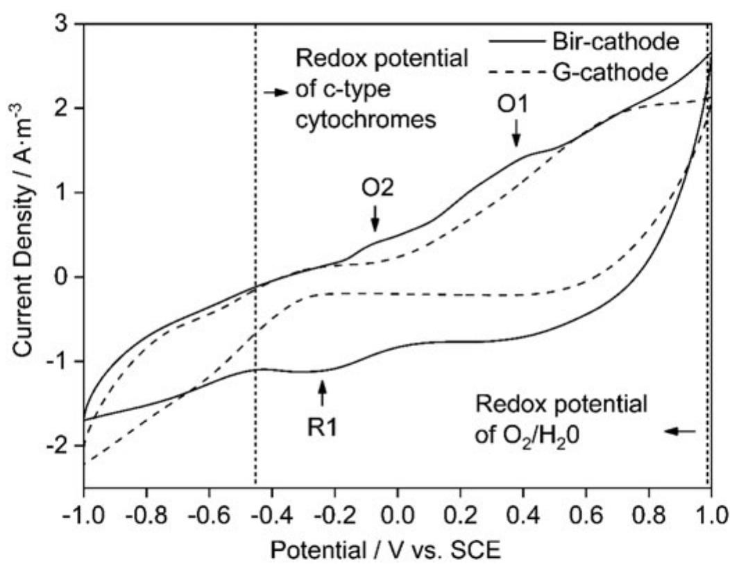 Cyclic voltammograms of bir-cathode and g-cathode. redox of