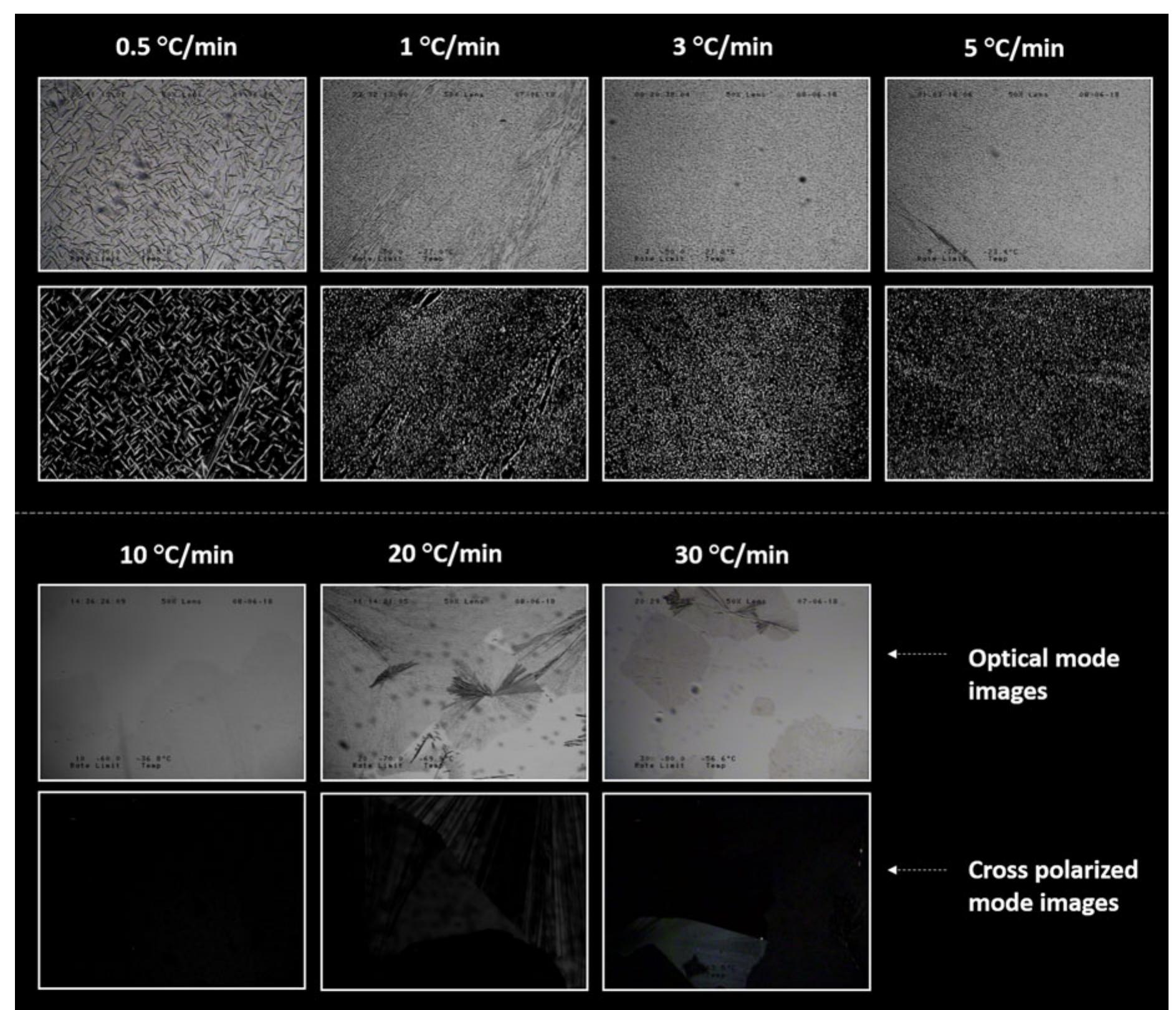 Microscopic images of frozen solution of asp (3% w/w in 40%