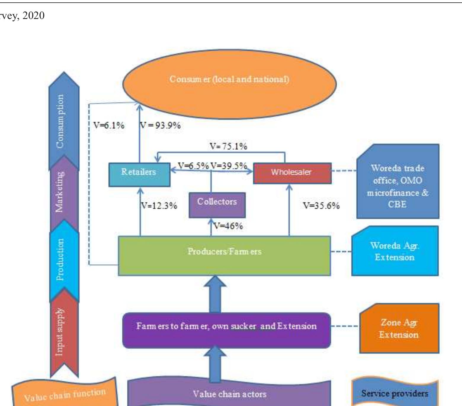 Value chain map of korarima in south omo zone table 9.