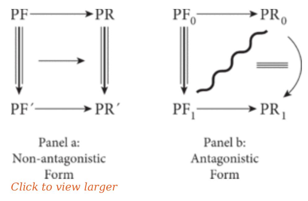 Non-antagonistic and antagonistic forms of pf-pr development