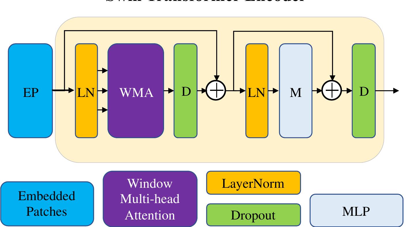 The Swin Transformer Encoders Architecture Contains Two