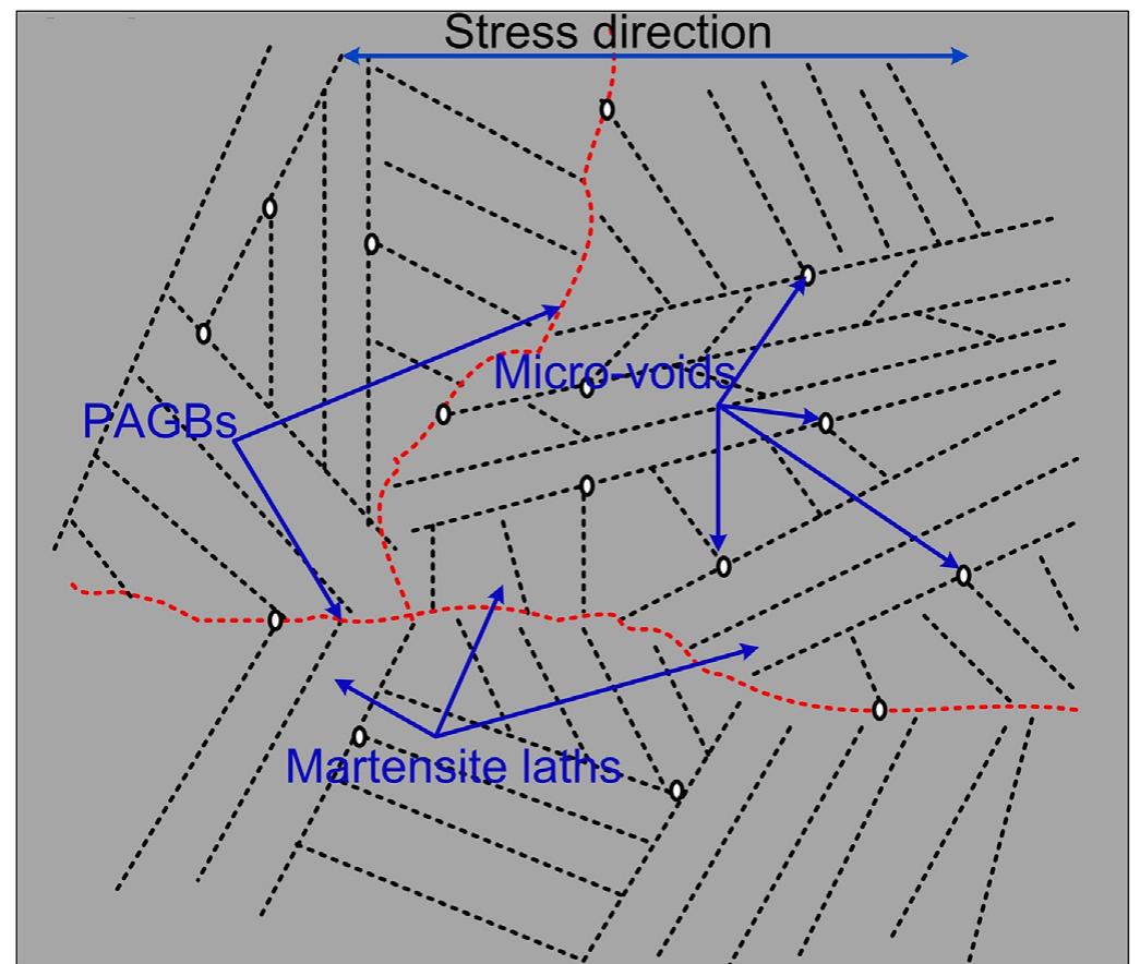 The schematic of the deep dimples and voids located at the