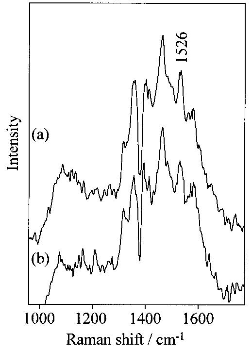 Excited state resonance raman spectra of enantiomers of